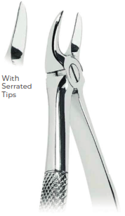 Extracting Forceps With serrated tips For separating upper molars Fig ...