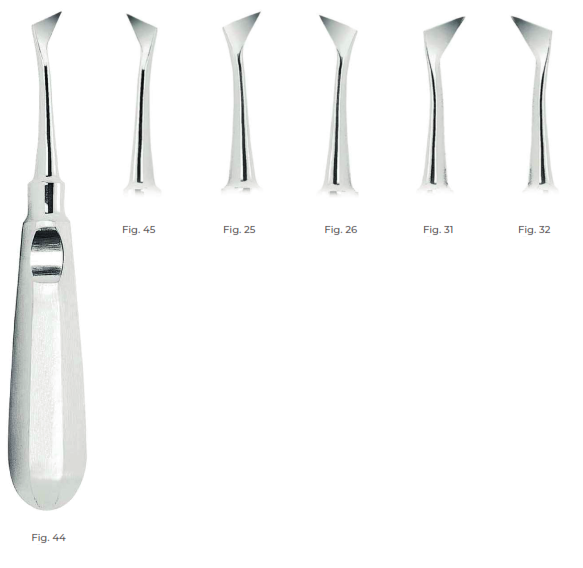 Cryer Root Elevators with stainless steel handle Fig. 25 | Rhein Website