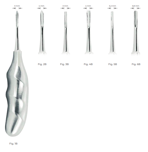 Bein Root Elevators with Anatomically Shaped Handle in stainless steel 3.8 mm Fig. 6B | Rhein ...