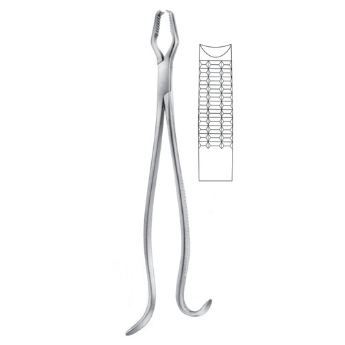 Lane Bone Holding Forceps, 45cm | Rhein Website