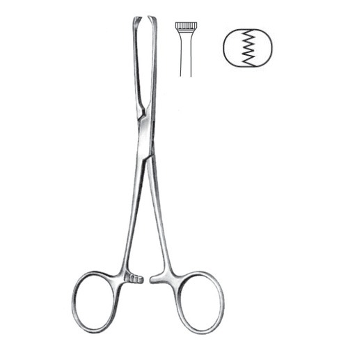 Allis Tissue And Intestinal Forceps, 5x6 Teeth, 25cm | Rhein Website