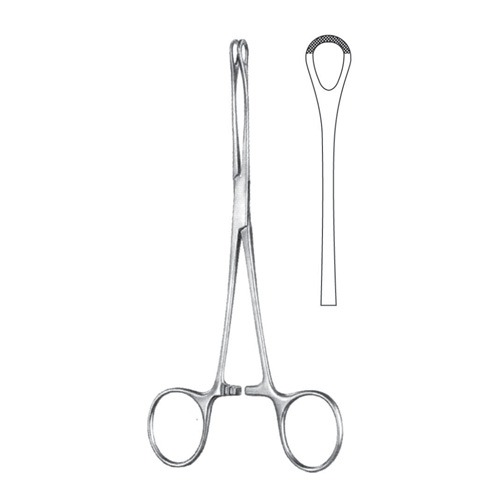 Williams Tissue And Intestinal Forceps, 16cm | Rhein Website